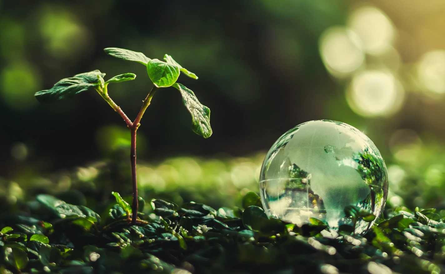 Disruptive Sustainability: Challenging Business Models for a Greener ...